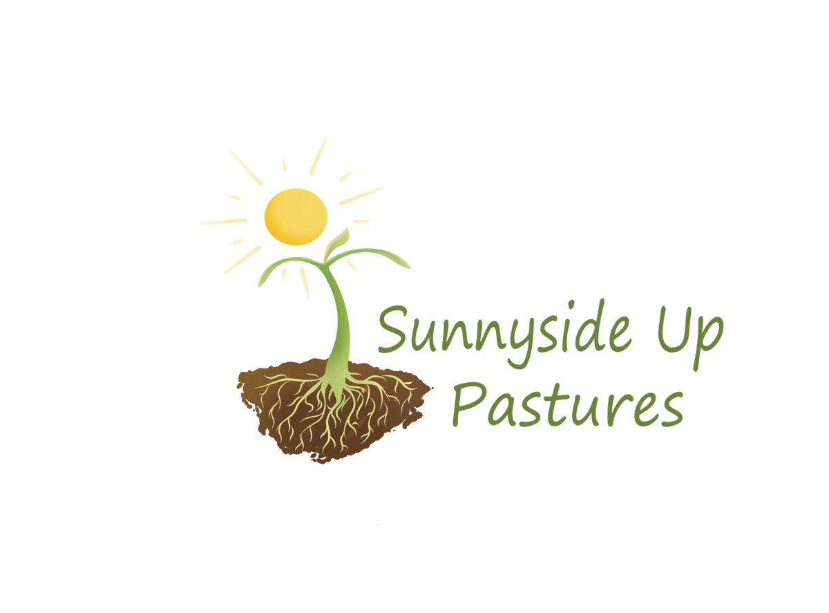 Eggs – Sunnyside Up Pastures